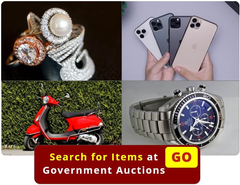 GovernmentAuctions.org® -- Government Auctions & Bank Foreclosures ...